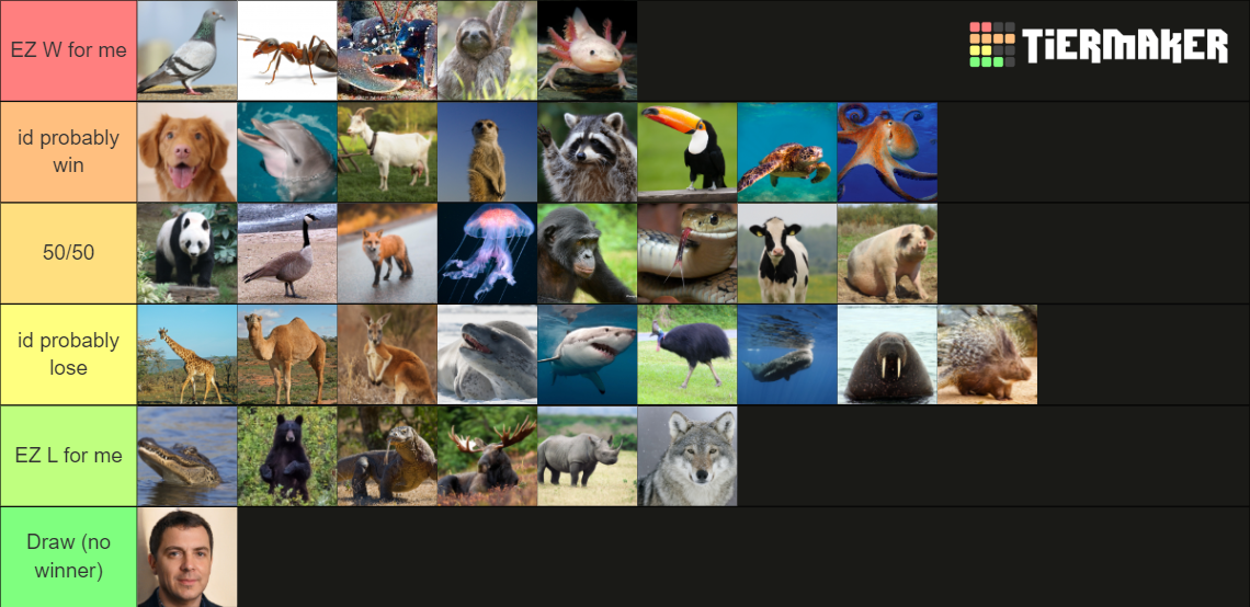 Animals I can take in a fist fight Tier List (Community Rankings ...