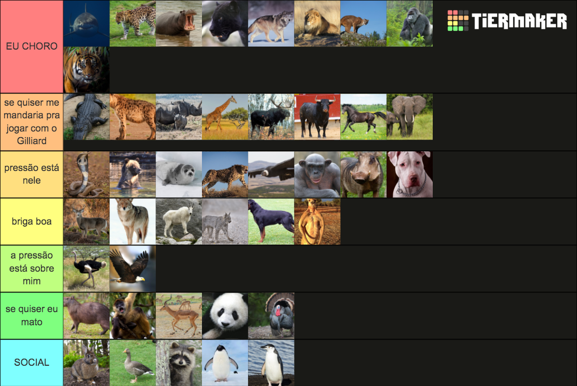 Animals I could take in a fight Tier List (Community Rankings) - TierMaker