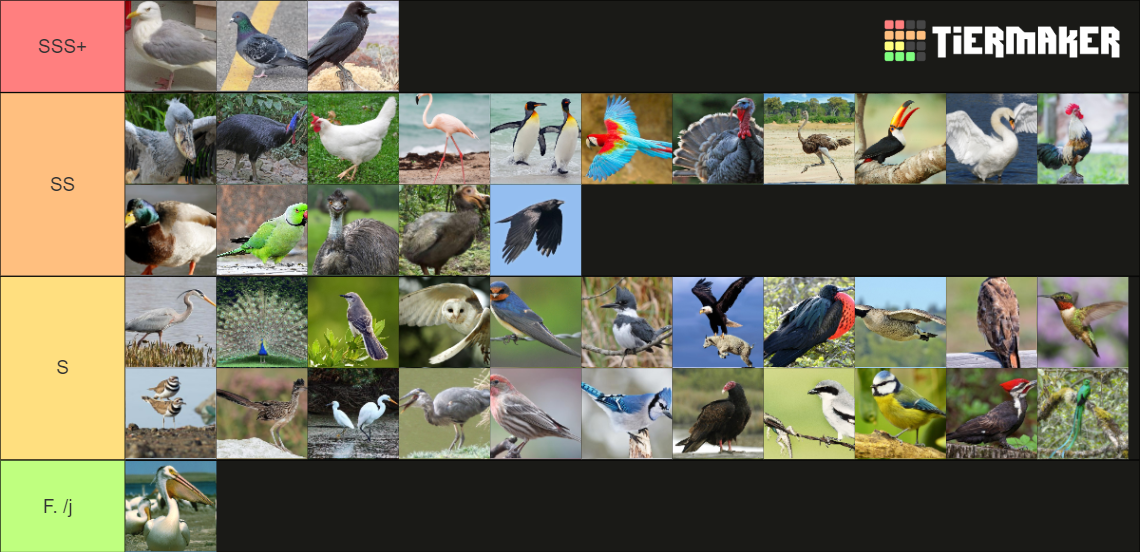 Bird TierList Tier List (Community Rankings) - TierMaker