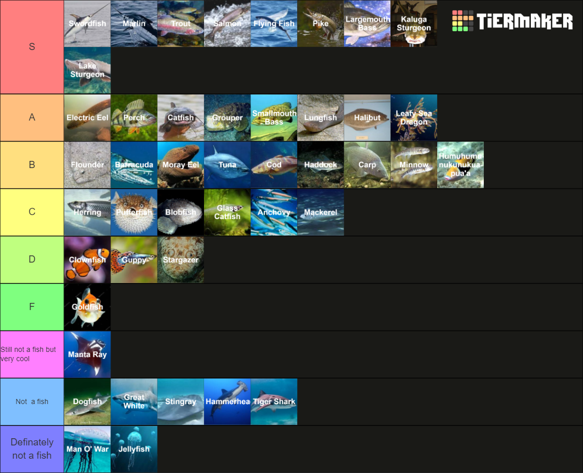 Fish Species Tier List (Community Rankings) - TierMaker