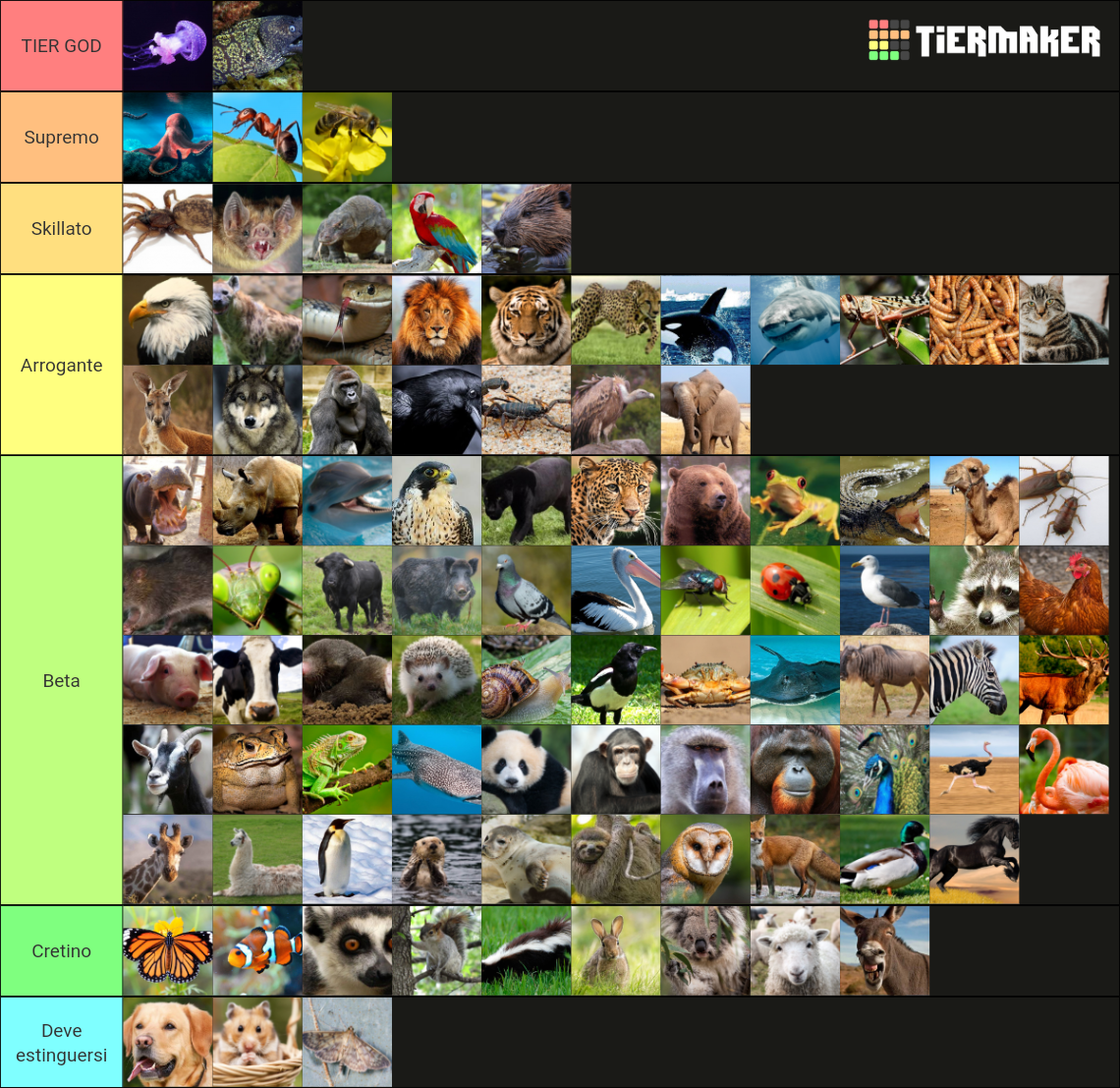 TIER LIST 100 ANIMALES SUPER DEFINITIVO Tier List (Community Rankings ...