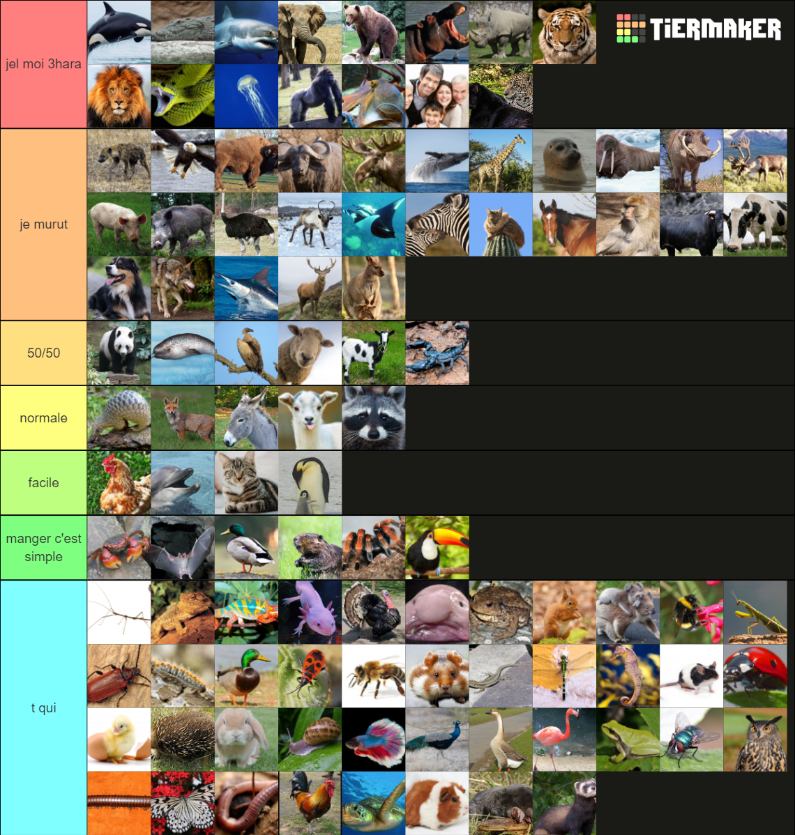 animaux classement Tier List (Community Rankings) - TierMaker