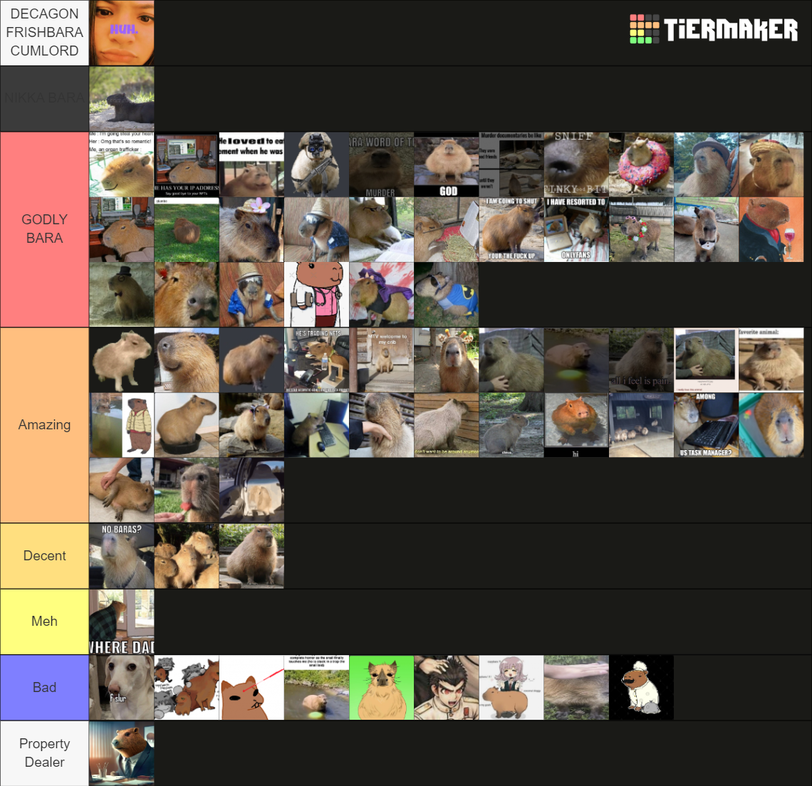 Capybara Tier List (Community Rankings) - TierMaker
