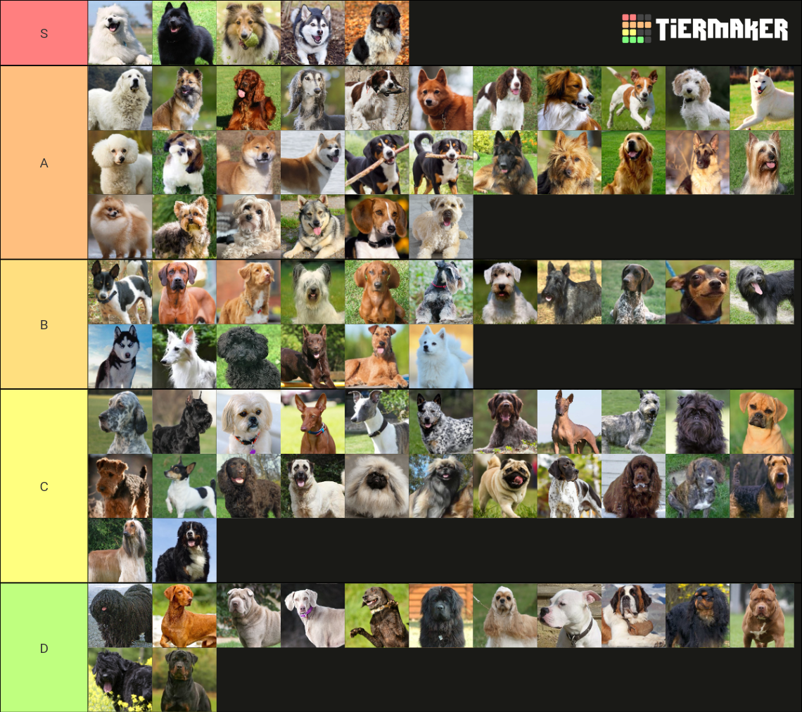 Dog Breeds Tier List (Community Rankings) - TierMaker
