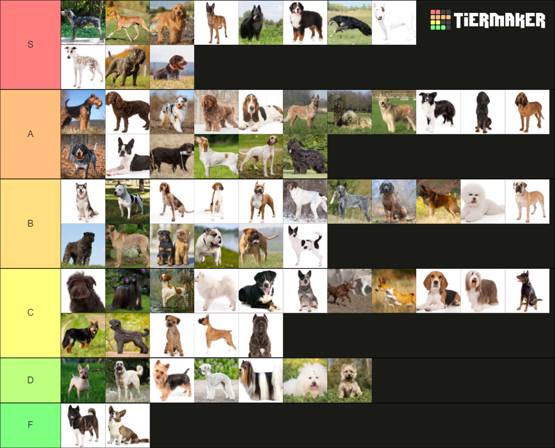 Dog Breed Tier List (Community Rankings) - TierMaker