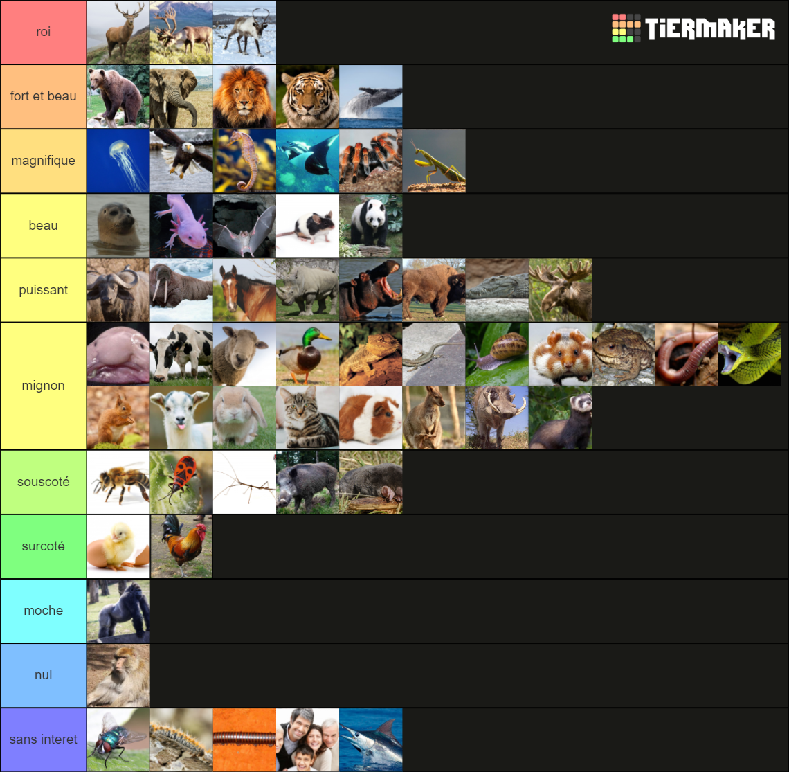 animaux classement Tier List (Community Rankings) - TierMaker