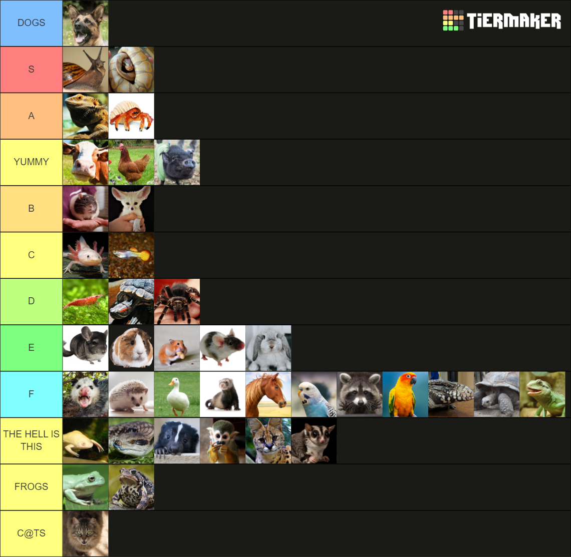 ULTIMATE PET TIER LIST Tier List (Community Rankings) - TierMaker