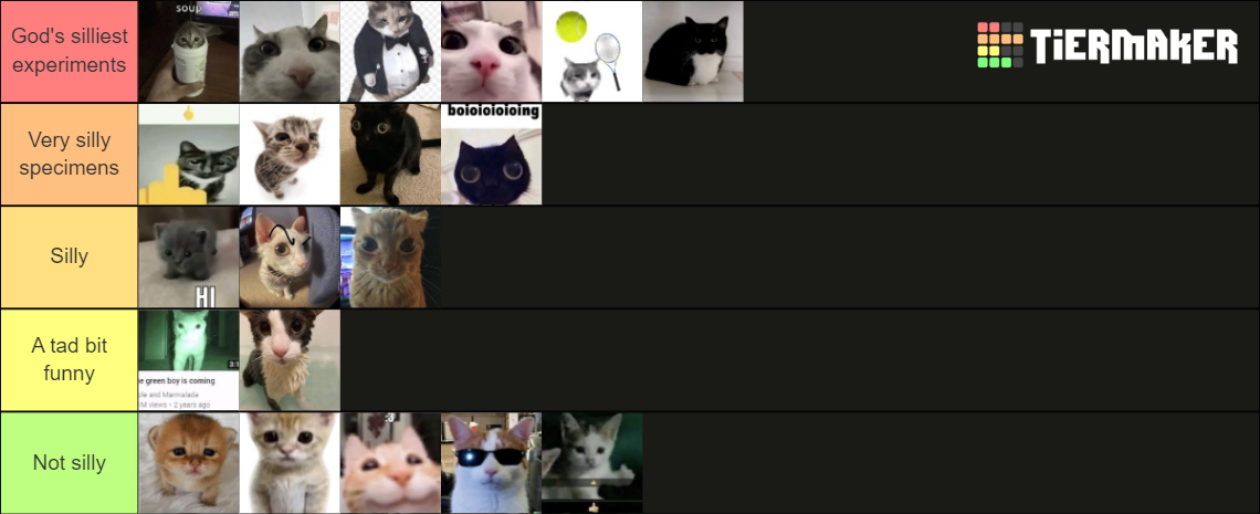 silly cats Tier List (Community Rankings) - TierMaker