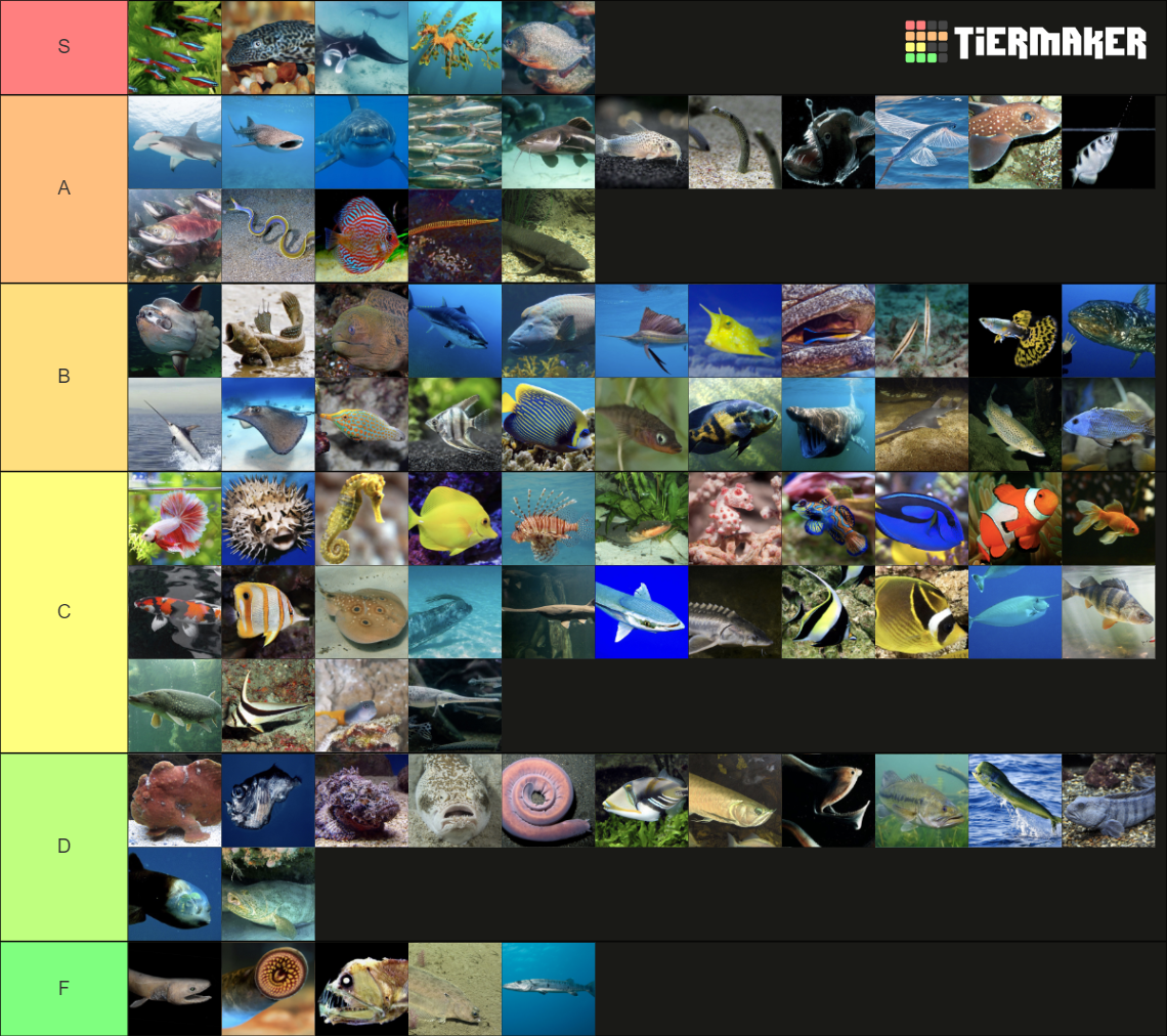 Fish Tier List (Community Rankings) - TierMaker