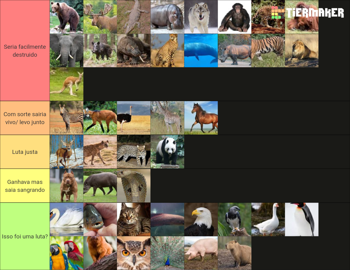 Animais vs Humanos Tier List (Community Rankings) - TierMaker