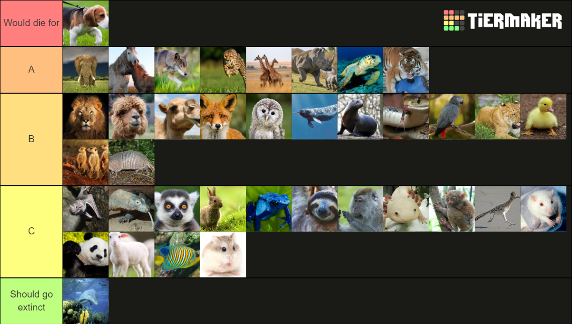 Animals Tier List (Community Rankings) - TierMaker