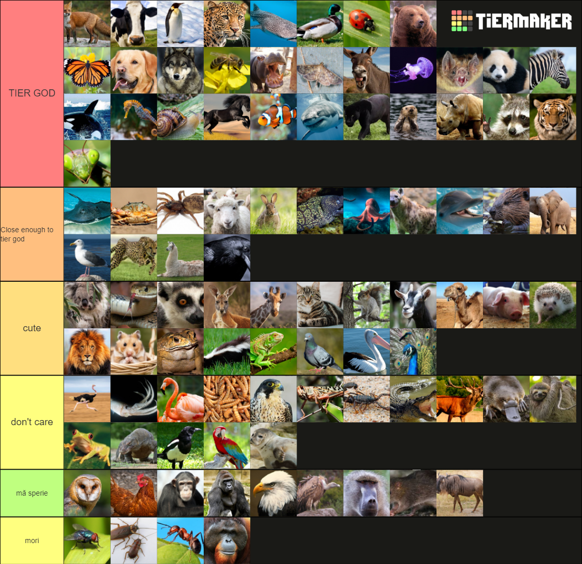 TIER LIST 100 ANIMALES SUPER DEFINITIVO Tier List (Community Rankings ...