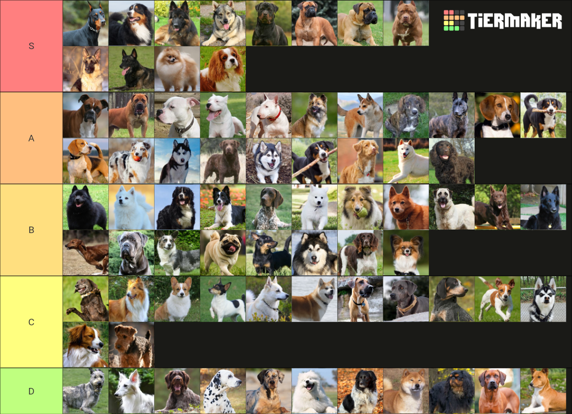 Recent Animals Tier Lists - TierMaker