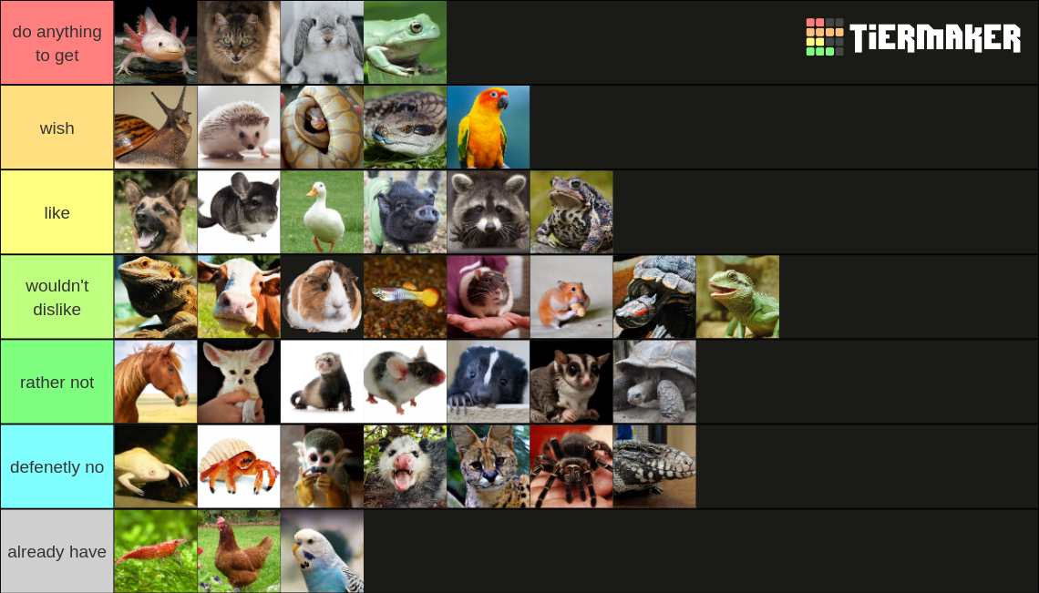 ULTIMATE PET TIER LIST Tier List (Community Rankings) - TierMaker