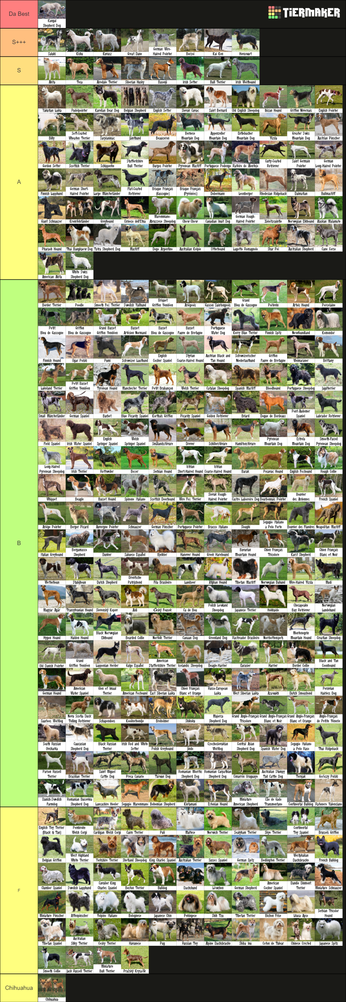FCI Dog Breeds (Labeled) Tier List (Community Rankings) - TierMaker