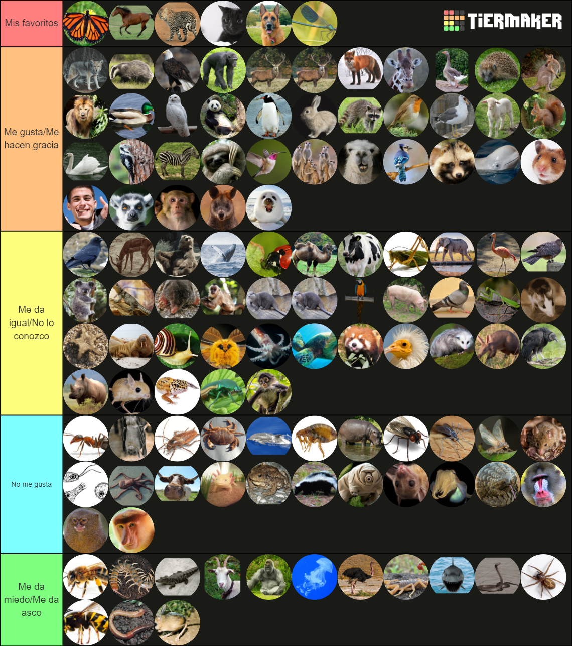 Recent Animals Tier Lists - TierMaker