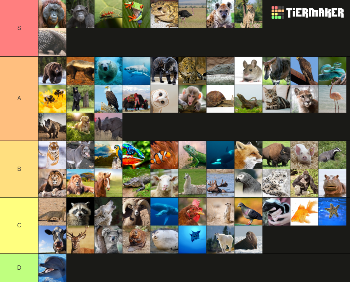Animal Kingdom Tier List (Community Rankings) - TierMaker