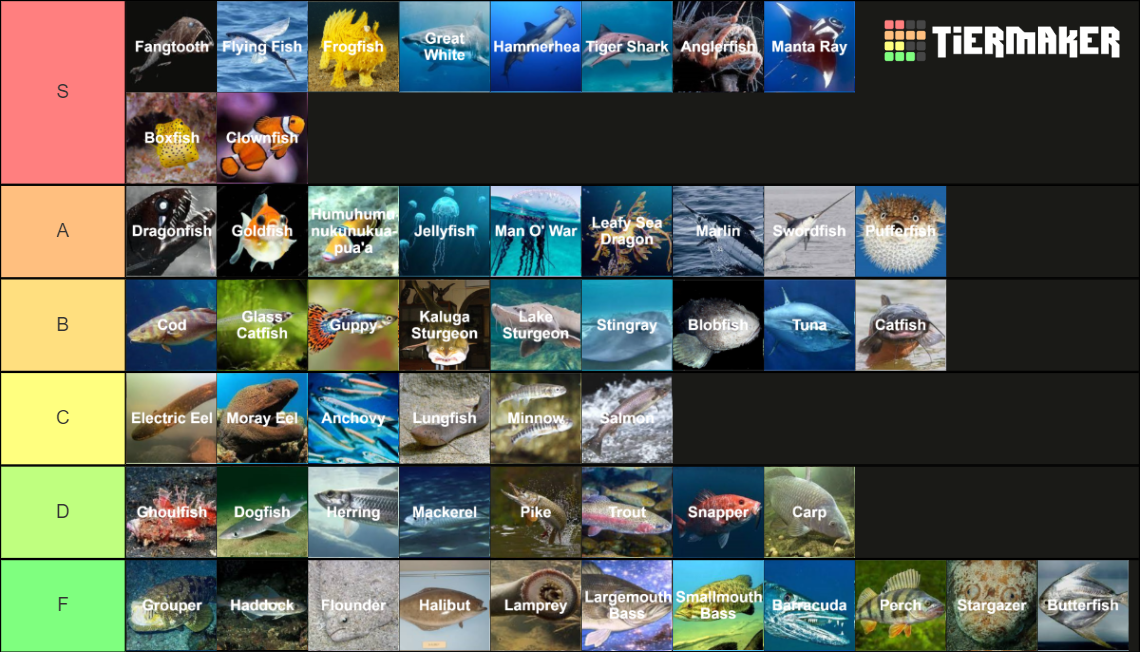 Fish Species Tier List (Community Rankings) - TierMaker