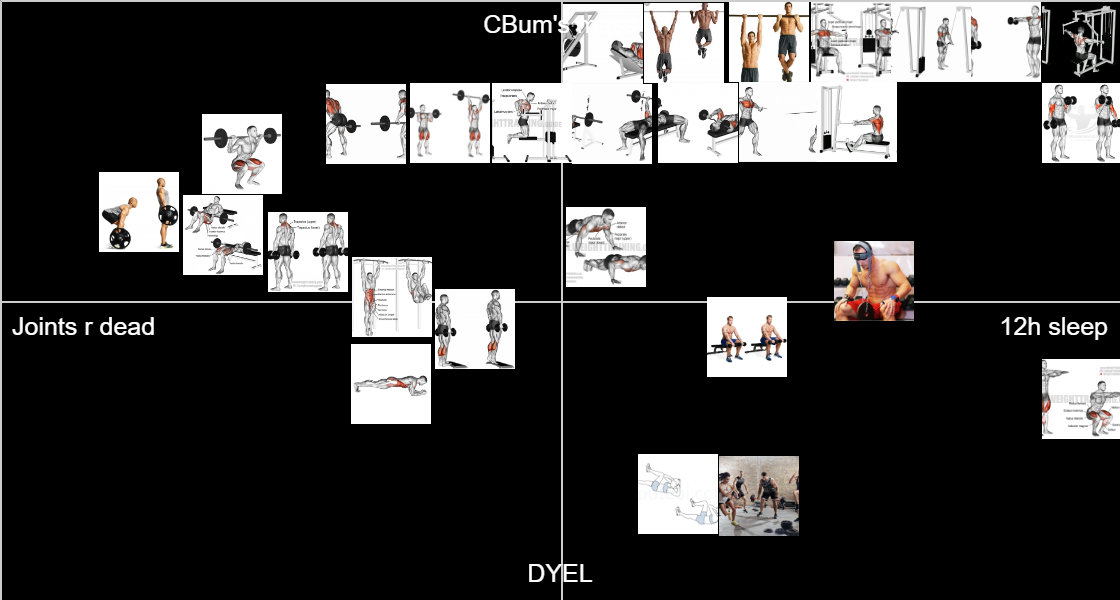 Gym exercises tierlist Tier List (Community Rankings) - TierMaker