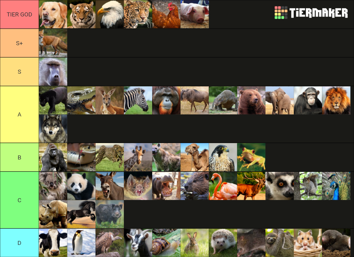 TIER LIST 100 ANIMALES SUPER DEFINITIVO Tier List (Community Rankings ...