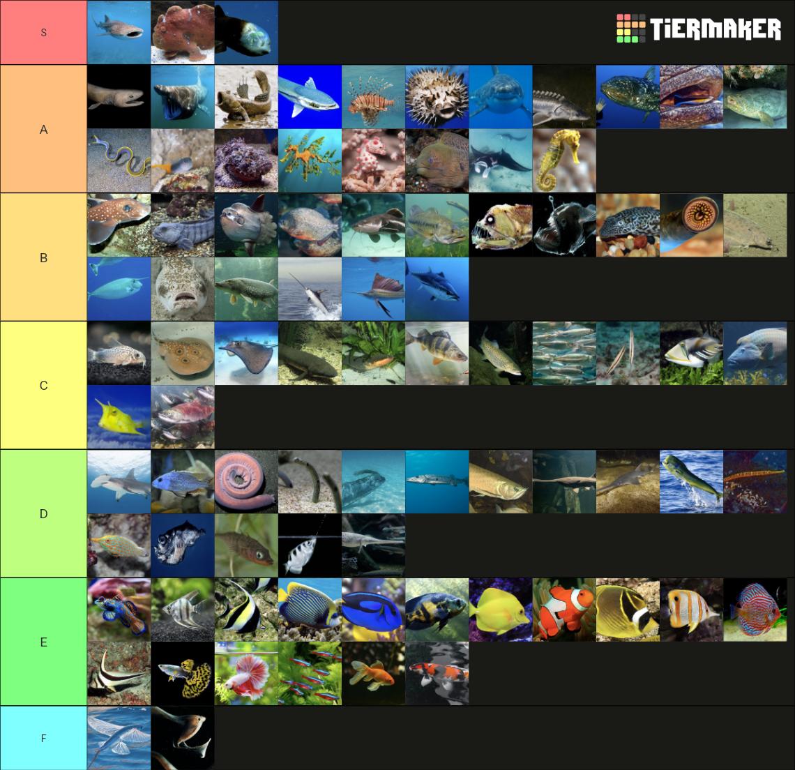 Fish Tier List (Community Rankings) - TierMaker