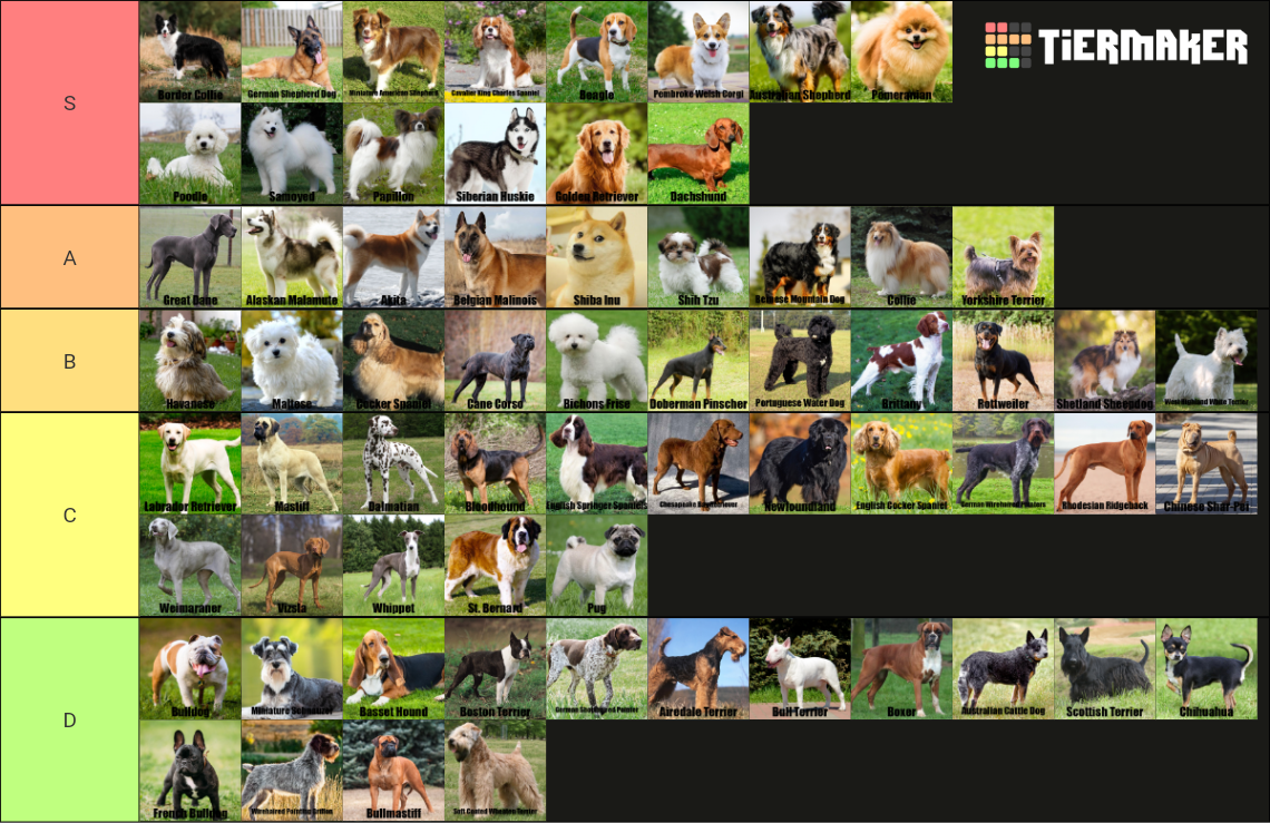 Dog Breeds Tier List (Community Rankings) - TierMaker