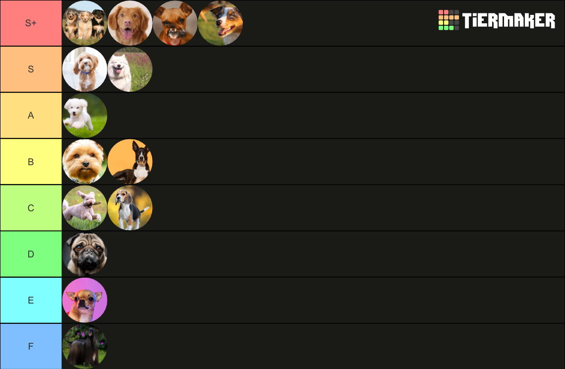 Dog (15 dogs) Tier List (Community Rankings) - TierMaker