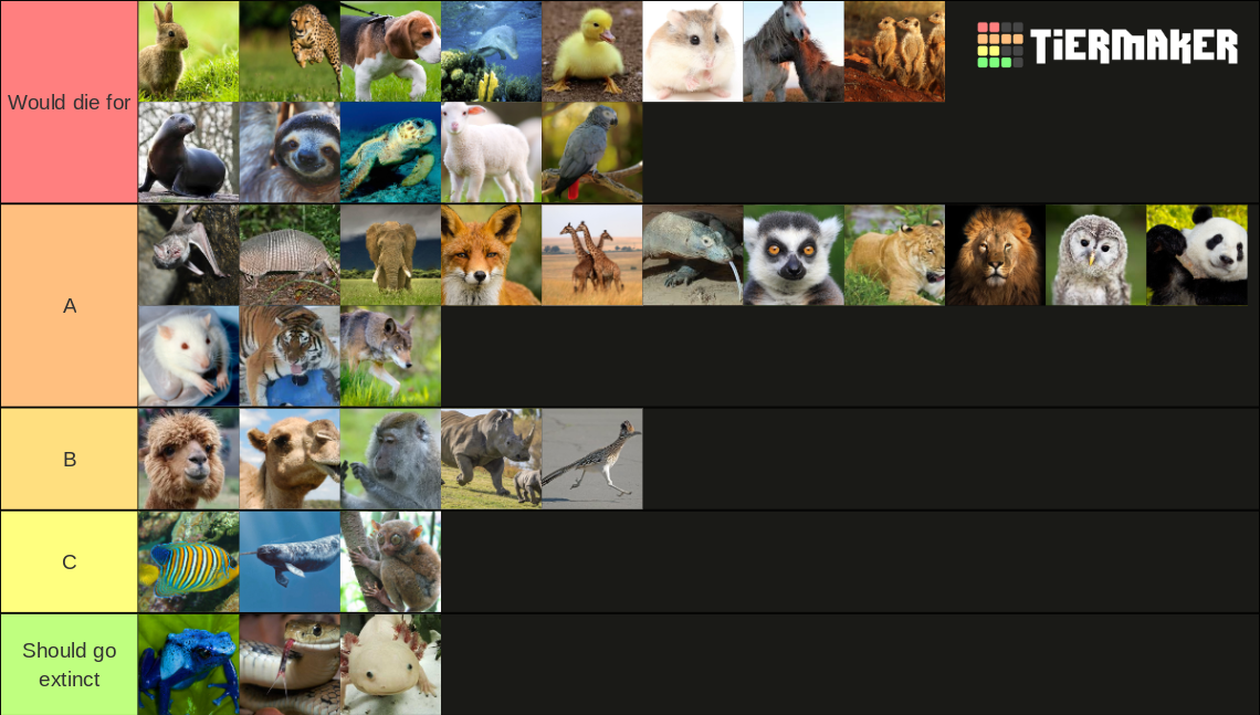 Animals Tier List (Community Rankings) - TierMaker
