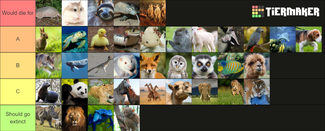 Animals Tier List (Community Rankings) - TierMaker