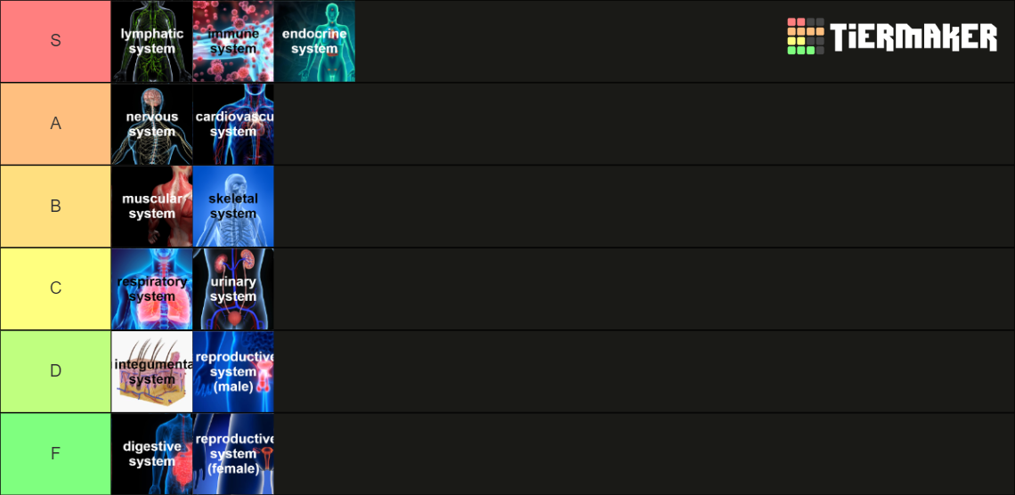 Human Body Systems Tier List (Community Rankings) - TierMaker