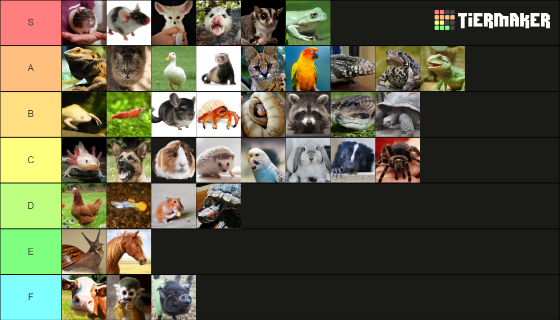 Recent Animals Tier Lists - TierMaker