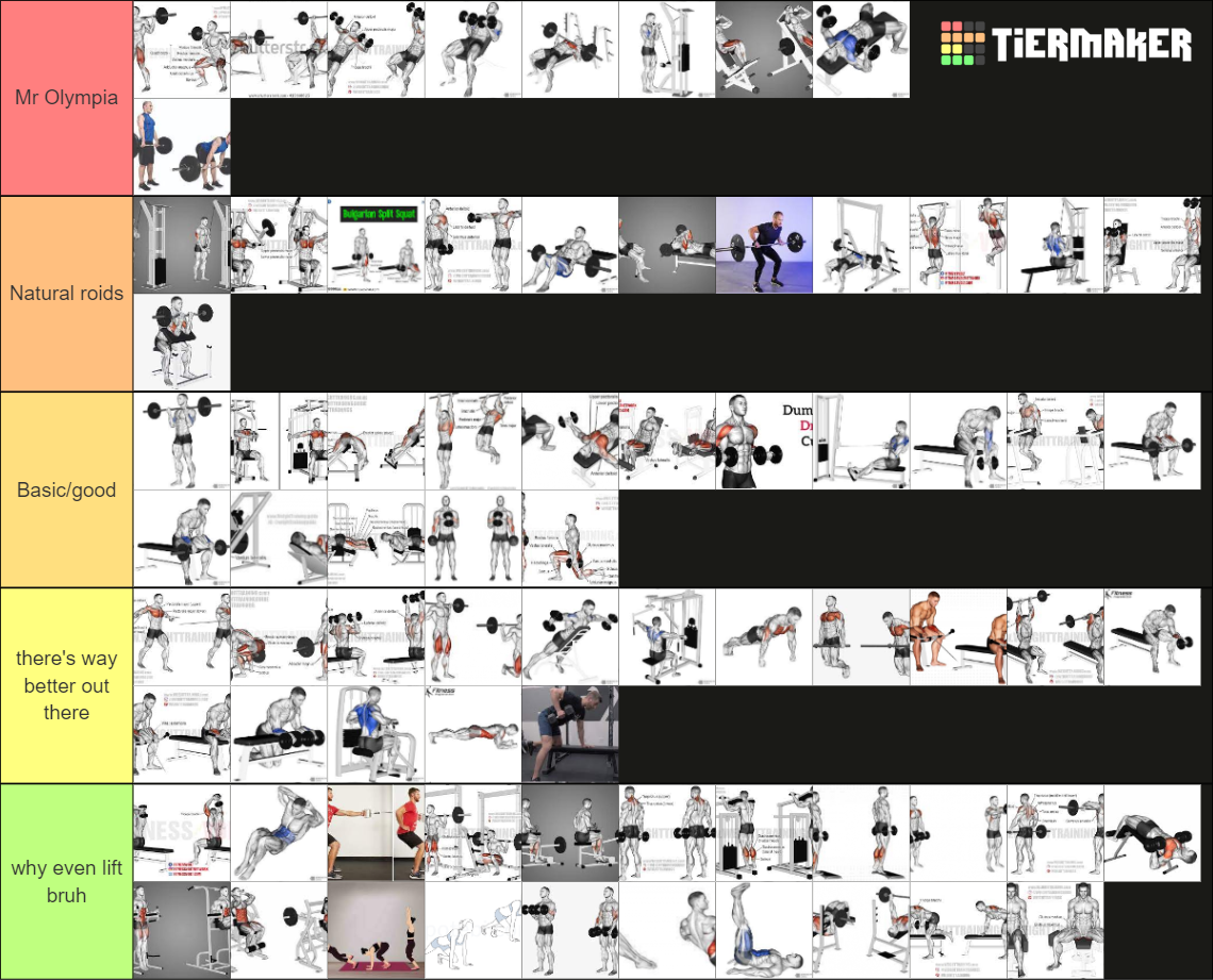 (pretty much) EVERY GYM EXCERCISE (70+) Tier List (Community Rankings ...