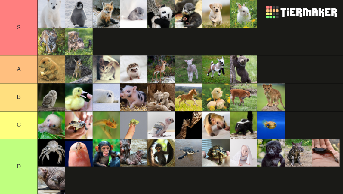 Recent Animals Tier Lists - TierMaker