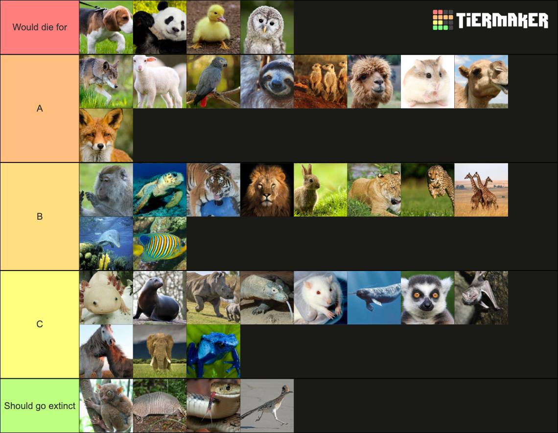 Animals Tier List (Community Rankings) - TierMaker