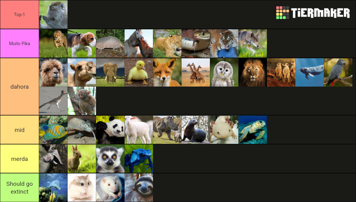 Animals Tier List (Community Rankings) - TierMaker