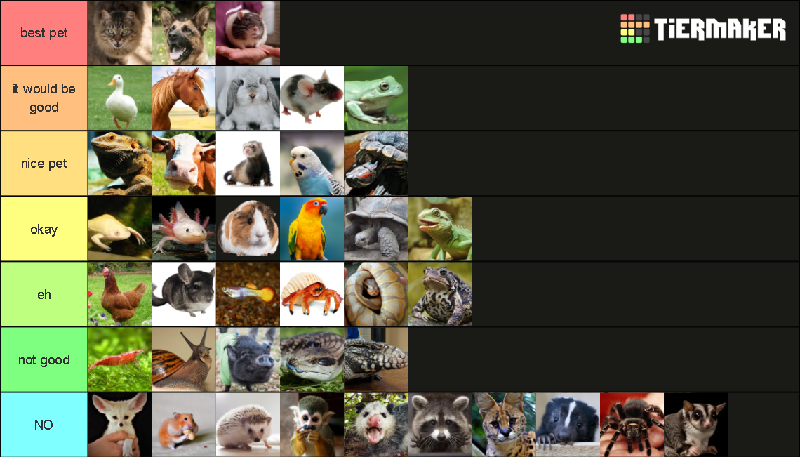 Recent Animals Tier Lists - TierMaker