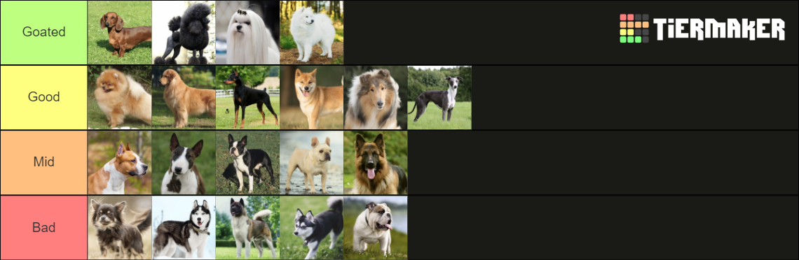 Dogs Tier List (Community Rankings) - TierMaker
