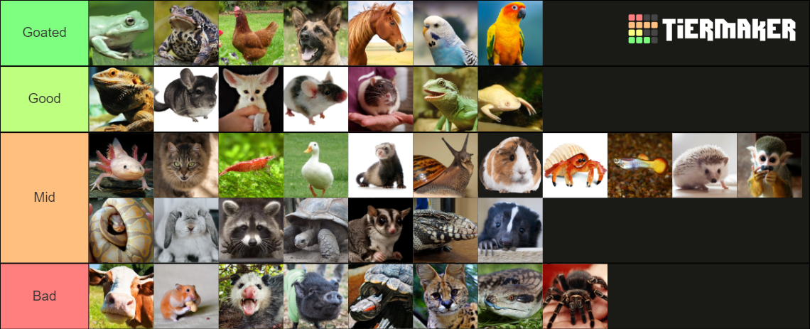 ULTIMATE PET TIER LIST Tier List (Community Rankings) - TierMaker