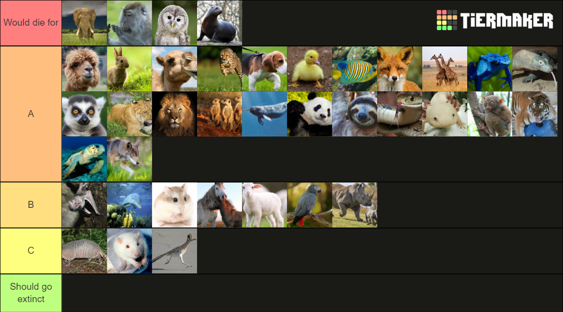 Animals Tier List (Community Rankings) - TierMaker