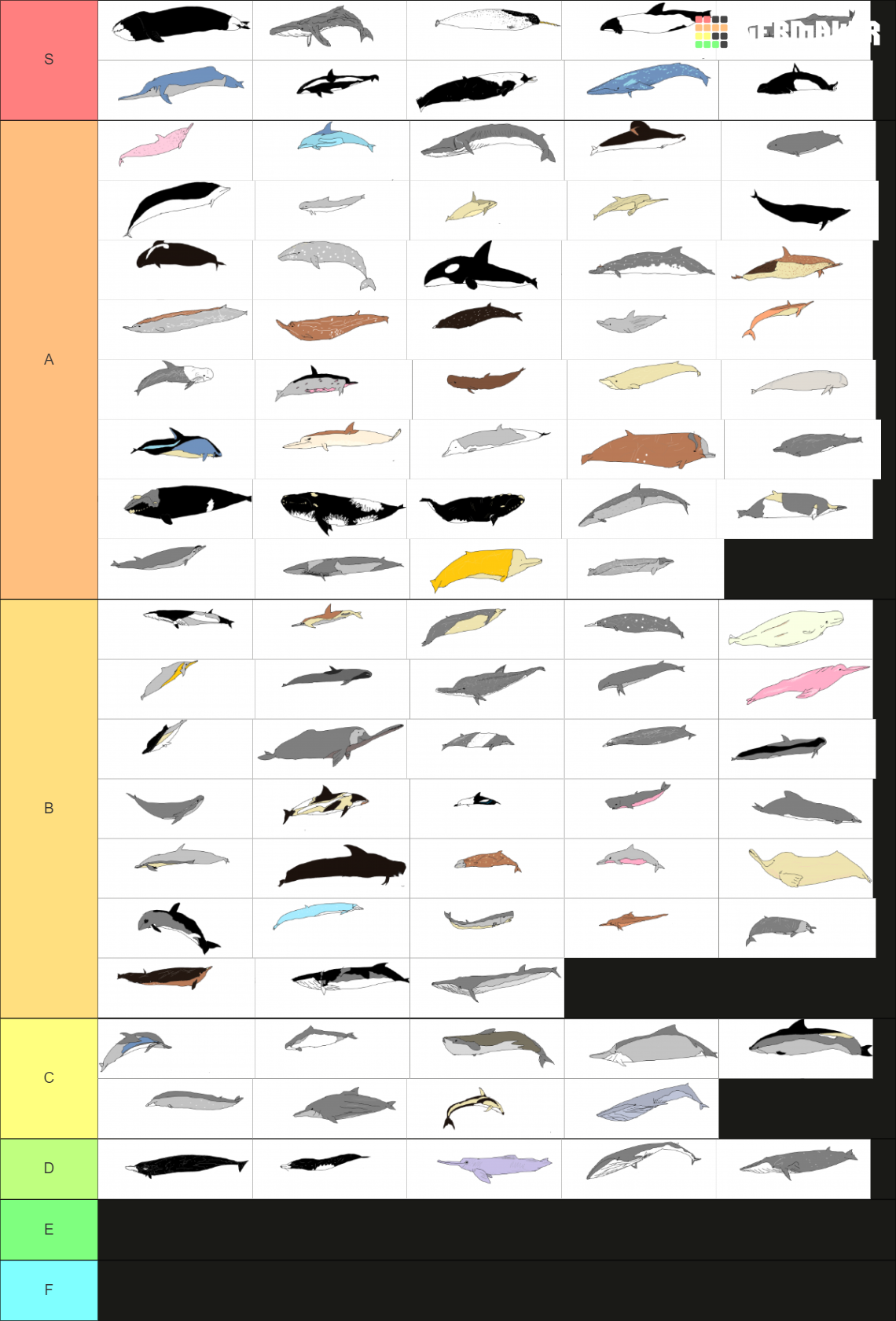 all the whales Tier List (Community Rankings) - TierMaker