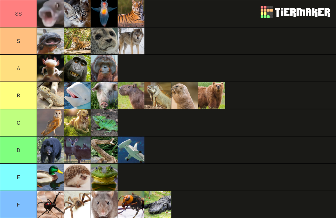 370+ Animals Tier List (Community Rankings) - TierMaker