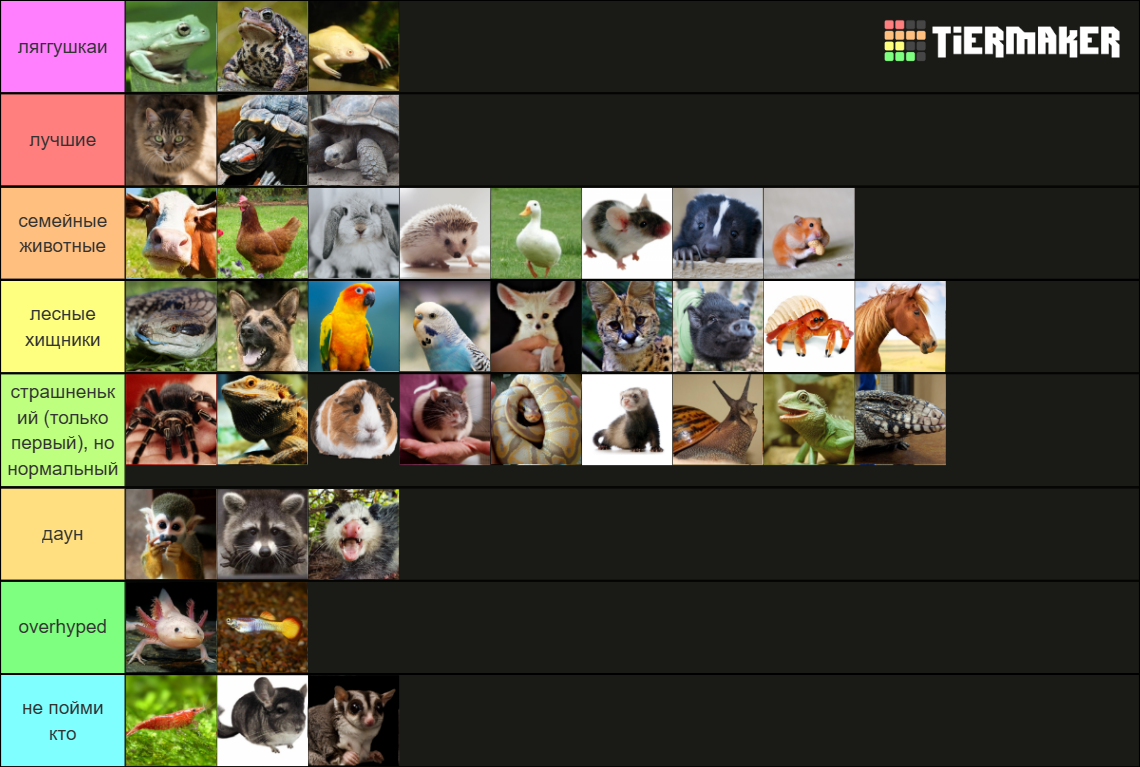 ULTIMATE PET TIER LIST Tier List (Community Rankings) - TierMaker