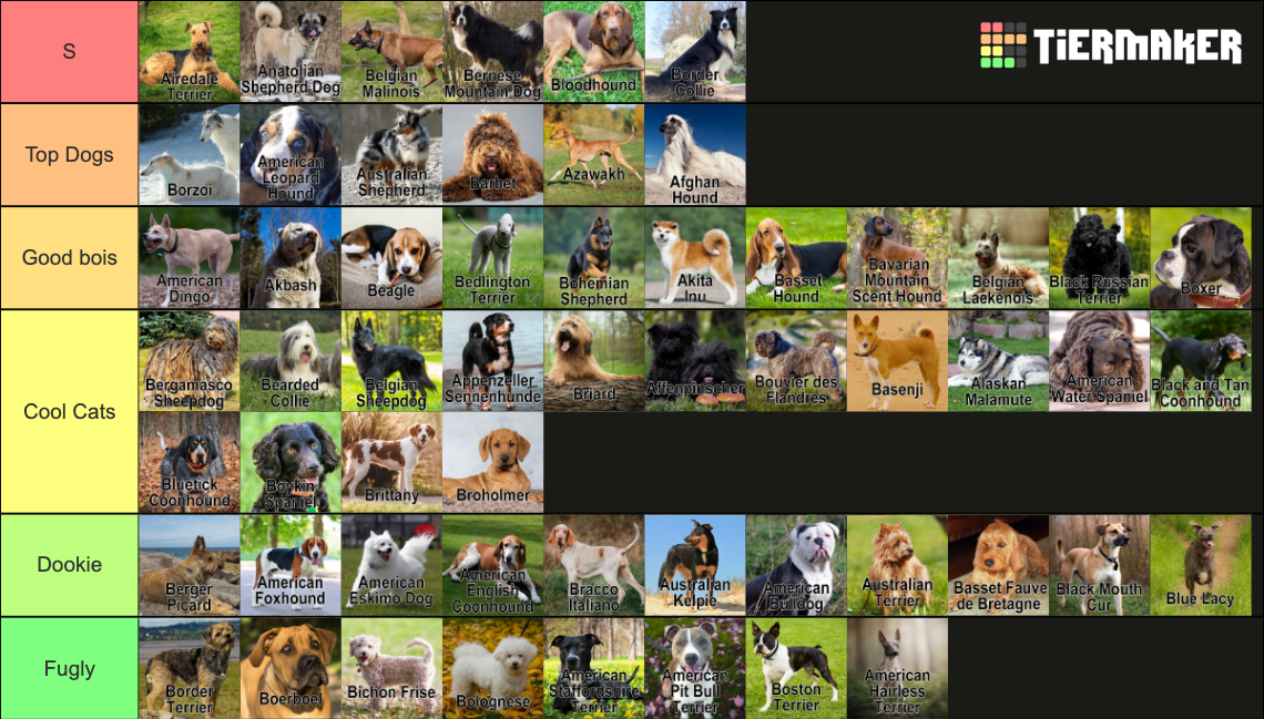 Pure Dog Breeds (Labeled) Tier List (Community Rankings) - TierMaker