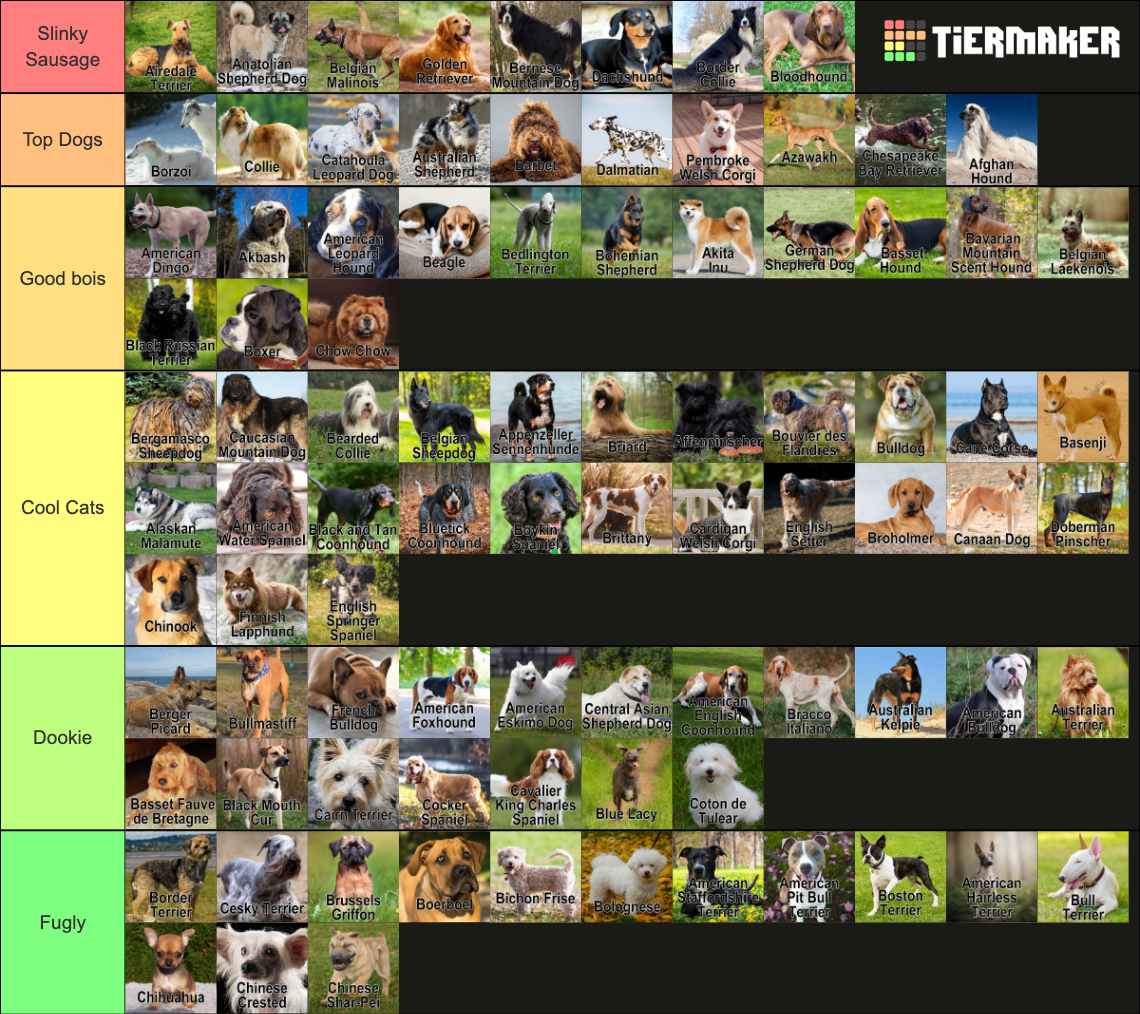 Pure Dog Breeds (Labeled) Tier List (Community Rankings) - TierMaker