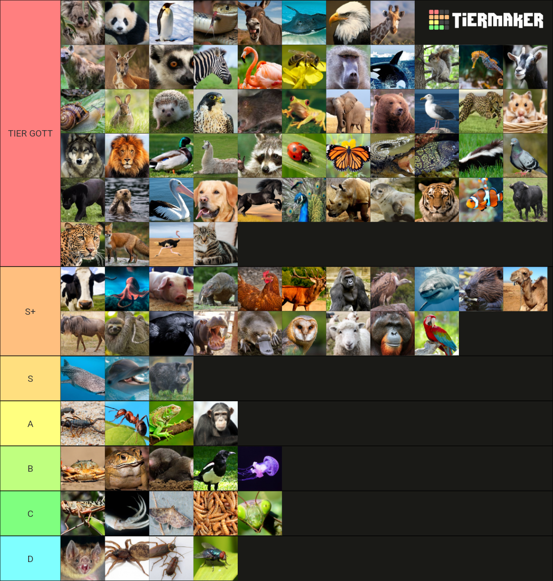 TIER LIST 100 ANIMALES SUPER DEFINITIVO Tier List (Community Rankings ...