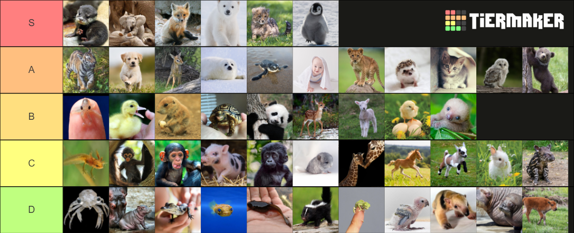 Cutest Baby Animals Tier List (Community Rankings) - TierMaker