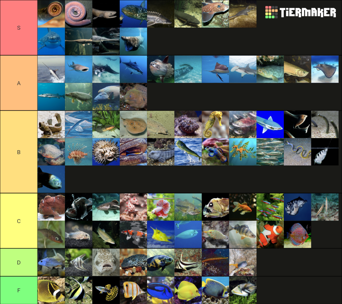 Fish Tier List (Community Rankings) - TierMaker