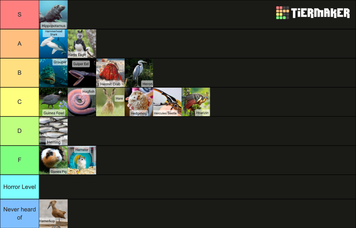 Animals WITH LABELS (400+) Tier List (Community Rankings) - TierMaker