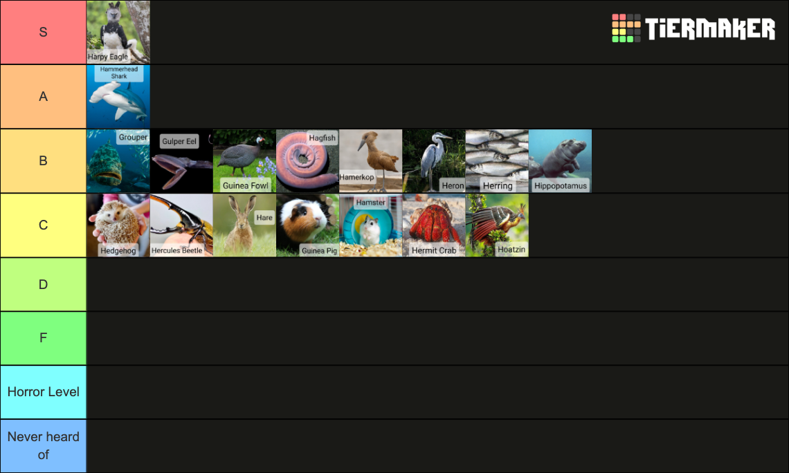Animals WITH LABELS (400+) Tier List (Community Rankings) - TierMaker