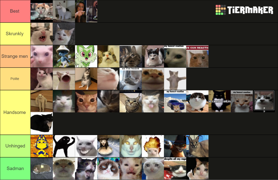 Cat Memes Tier List (Community Rankings) - TierMaker